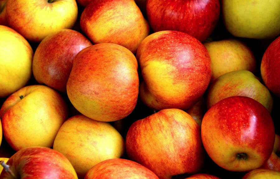 Lekker lezen: deze 20 vreemde weetjes over appels kende je nog niet