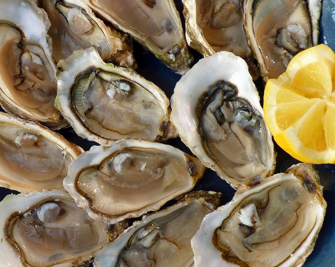 Interessant: 5 bijzondere feitjes over (de kwaliteiten van) oesters